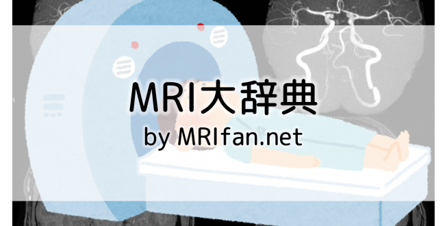 maximum intensity projection （MIP:maximum intensity projection ...