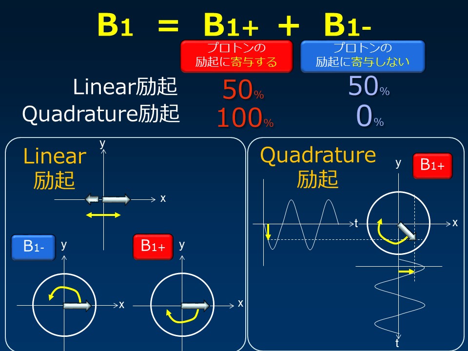 (B1+RMS)を徹底解説：東千葉メディカルセンター坂井上之 | MRIfan.net