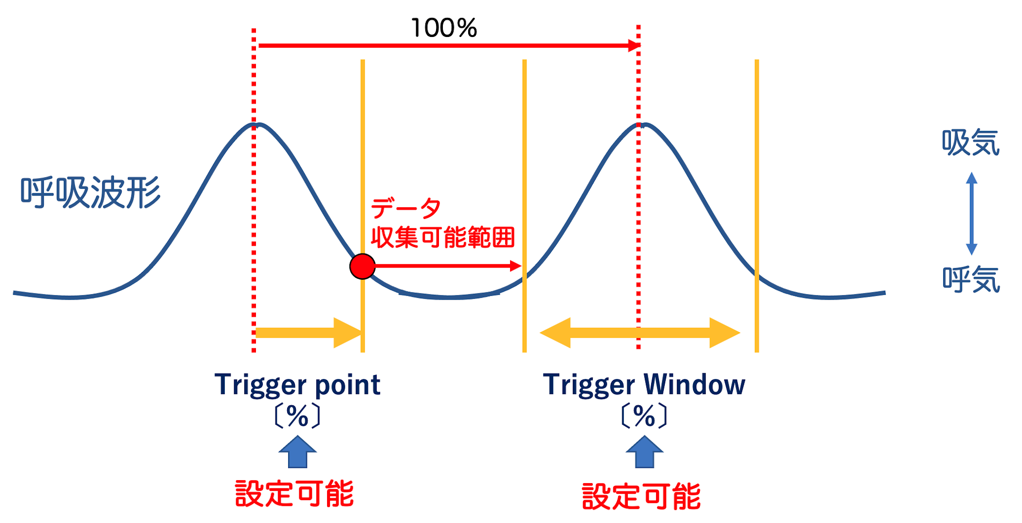 呼吸同期法の注意点 うるさい『音』の活用方法 | MRIfan.net